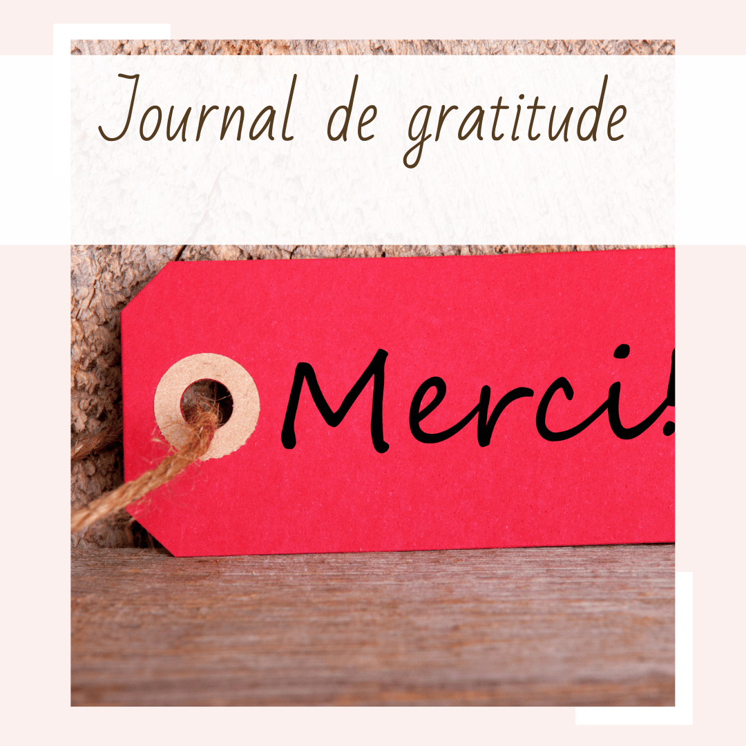 Le plaisir d'écrire - Journal de gratitude - Payhip
