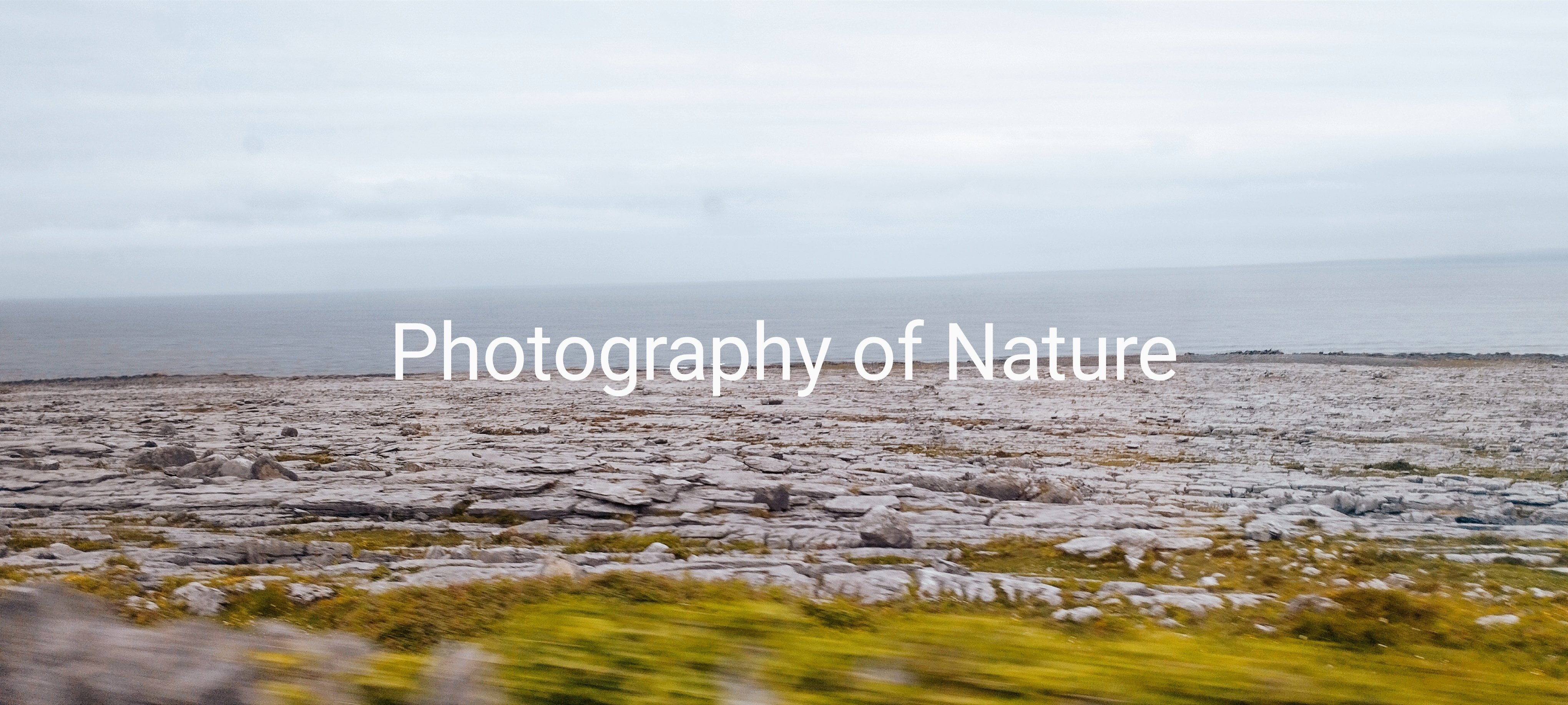 Picture of Irish landscape - Payhip