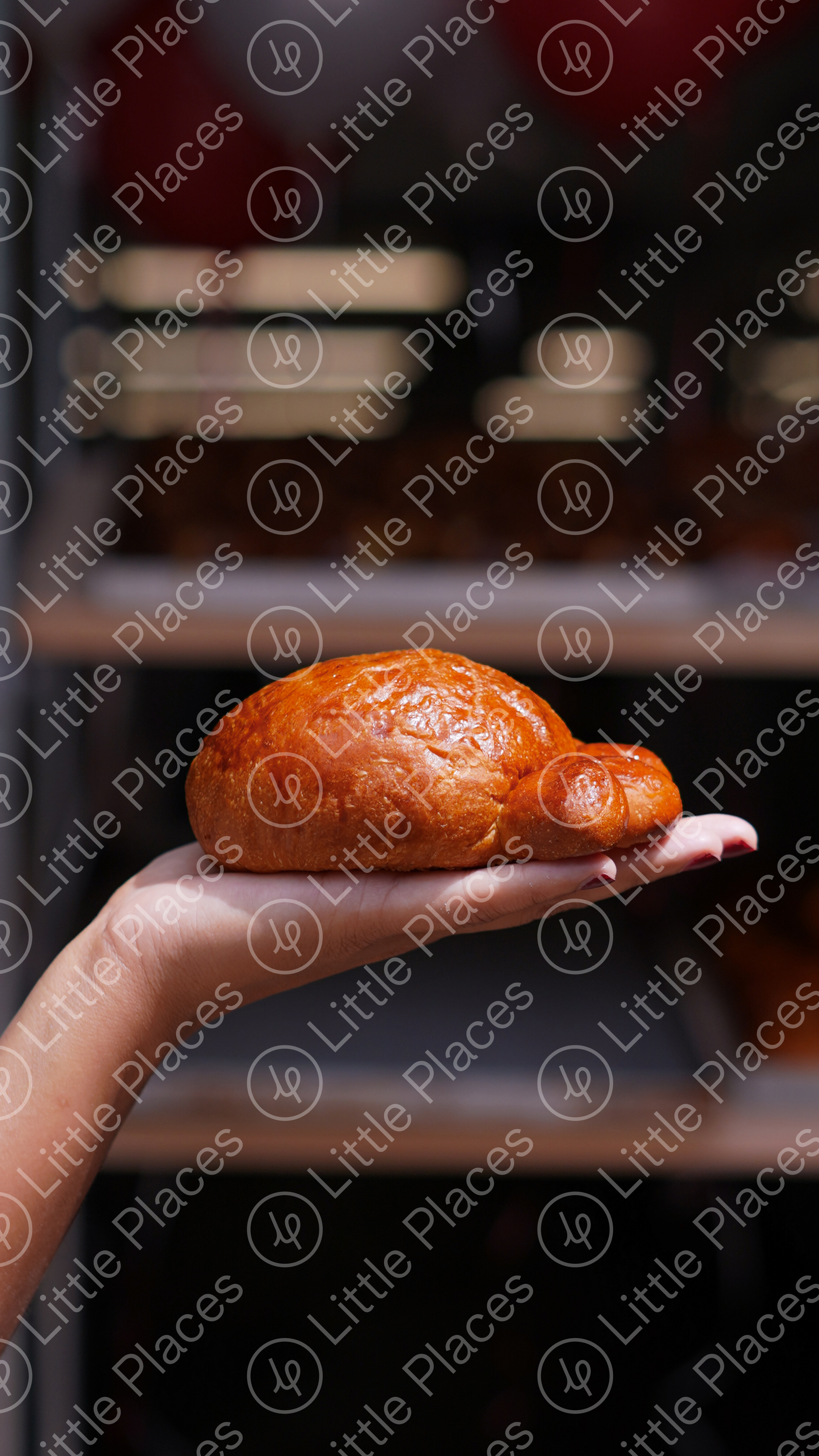 Ong Ong Buns 4 - Payhip