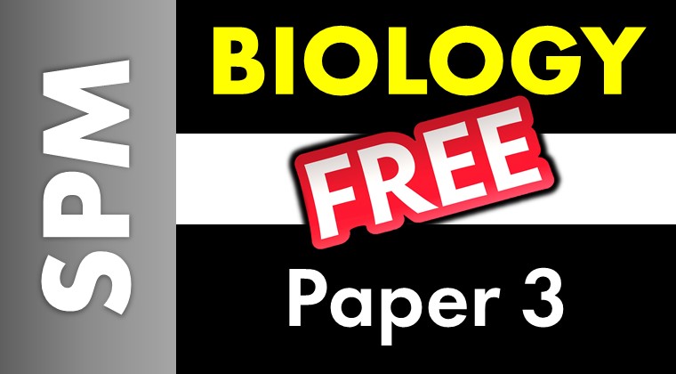 SPM: Paper 3 - Answering Technique