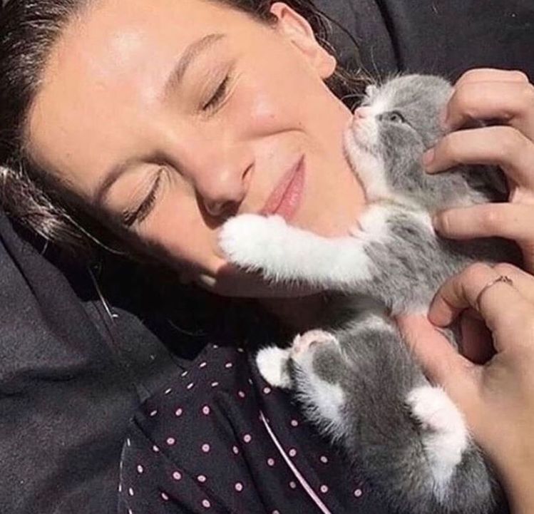 khai dreams - come true / project file - Payhip