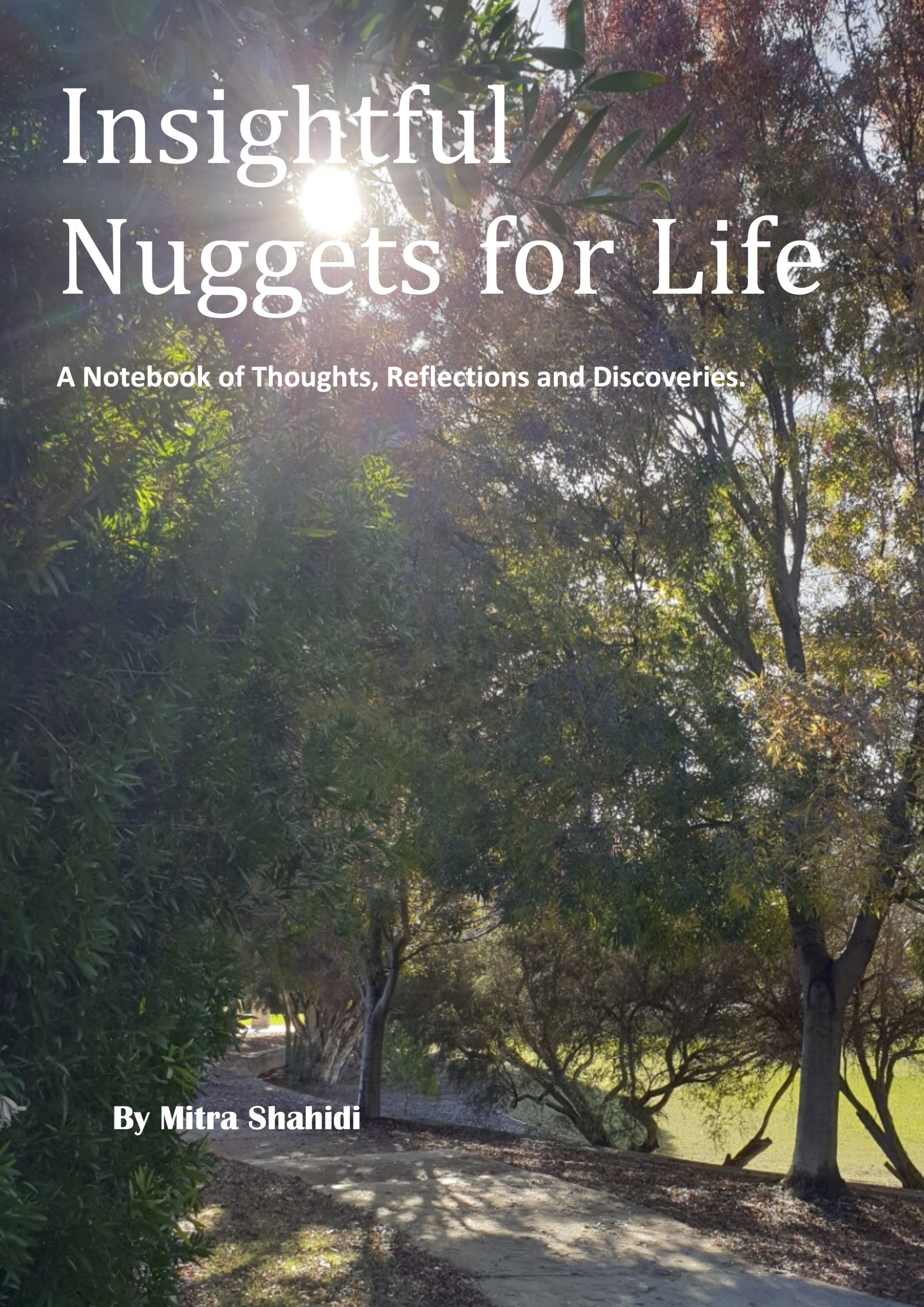 Insightful Nuggets for Life - Payhip