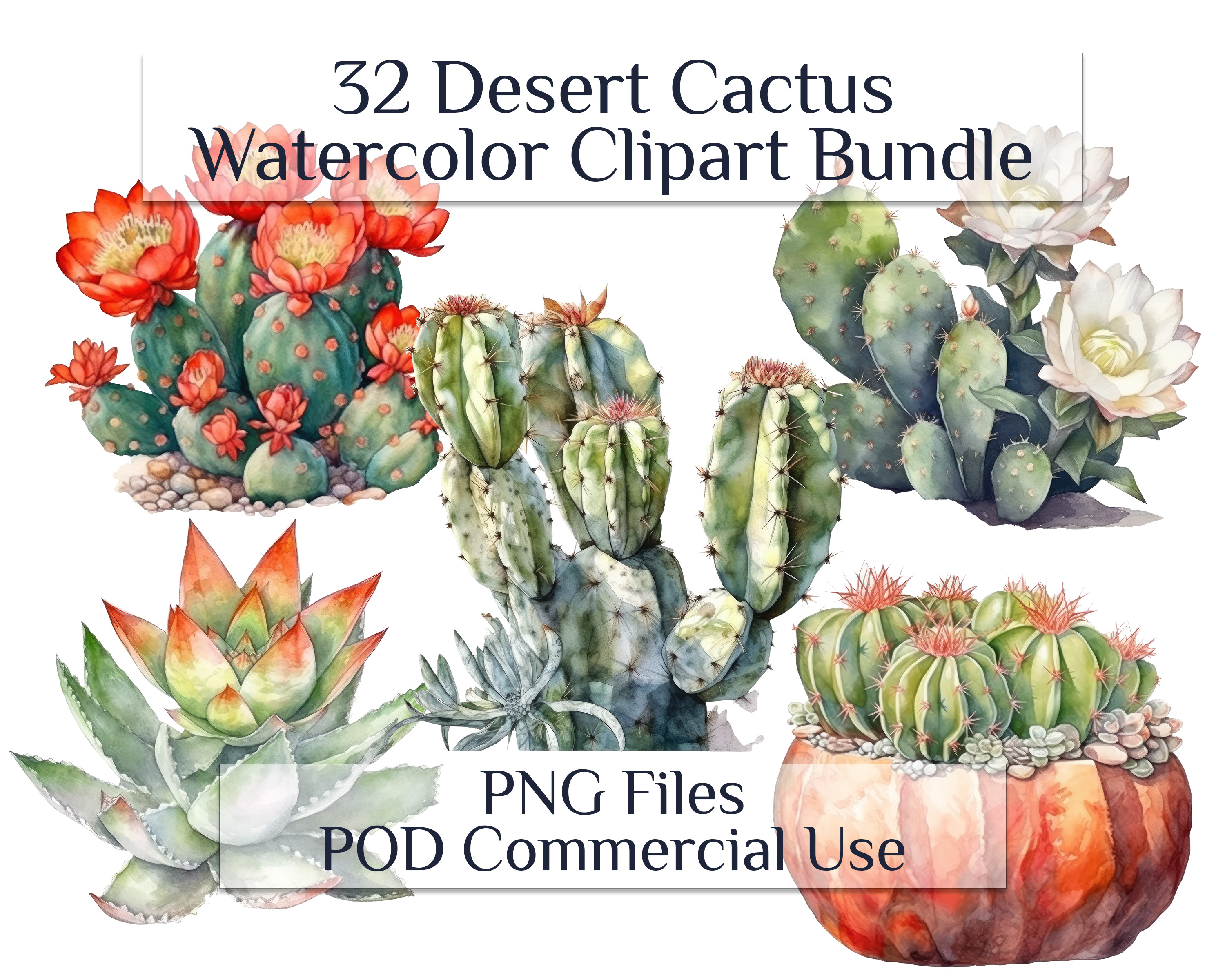 Cactus Watercolor Clipart Bundle - Digital PNG Files for Commercial Use