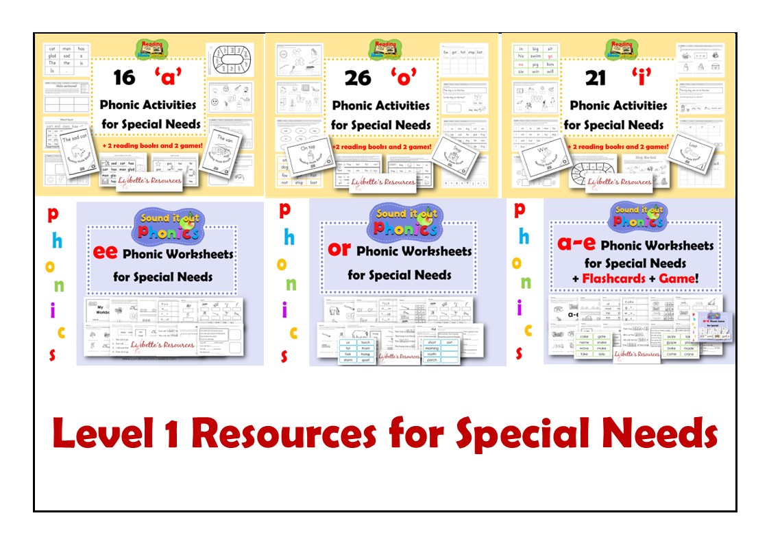 Lilibette's Resources Store - RMS Level 1 Special Needs Course - Payhip