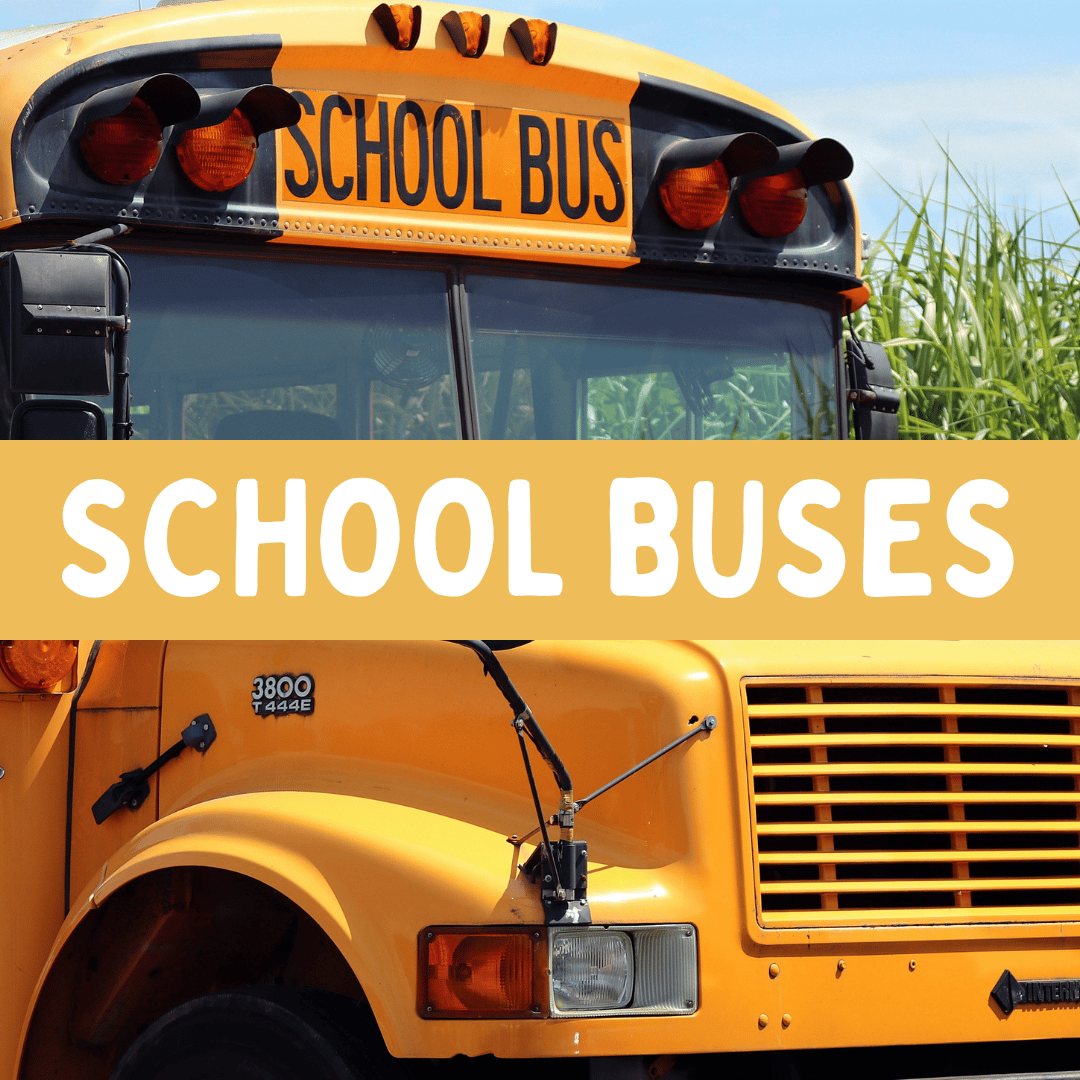 The Connett Connection - School Bus Activities