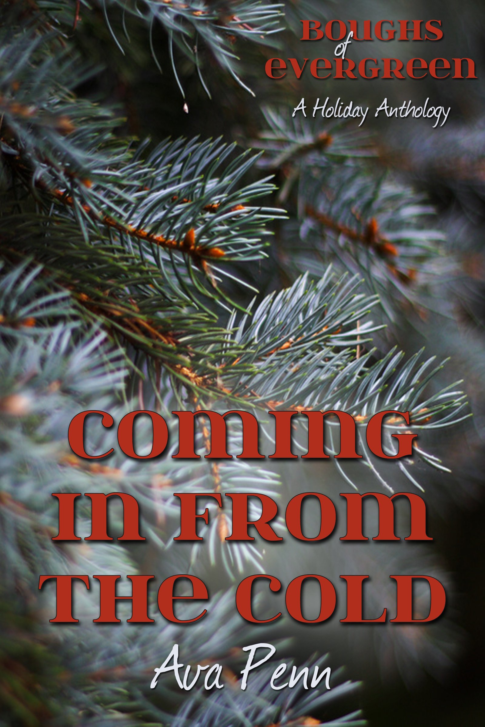 Coming in from the Cold by Ava Penn [eBook] - Payhip