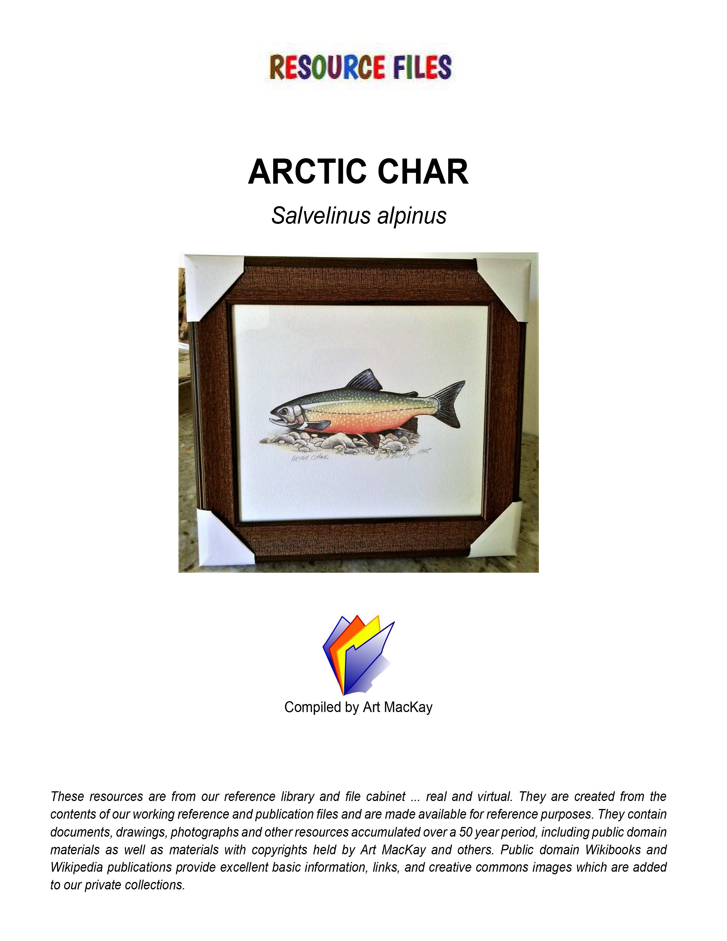 FISH - ARCTIC CHAR - Payhip