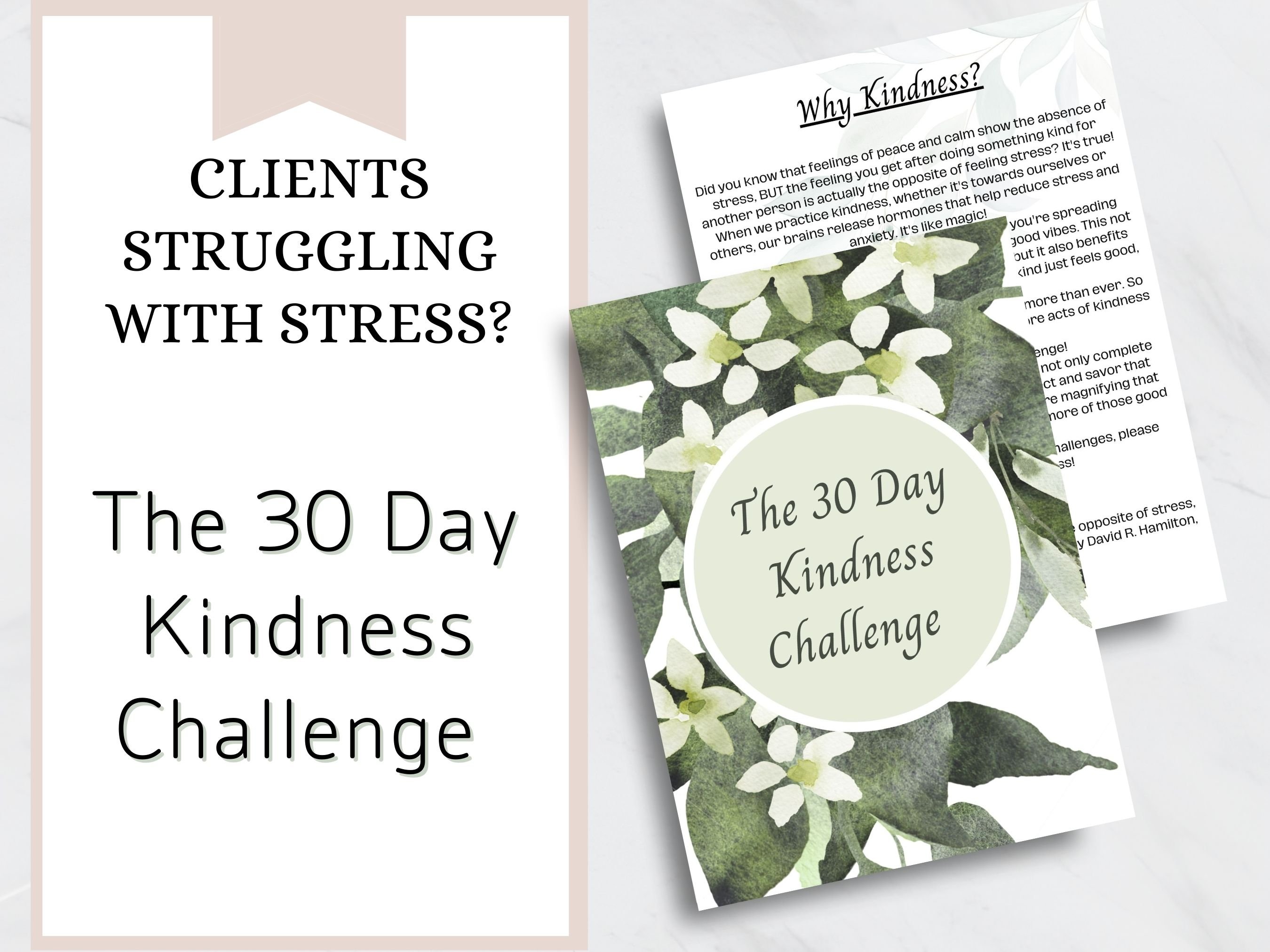 30 Day Kindness Challenge - Payhip