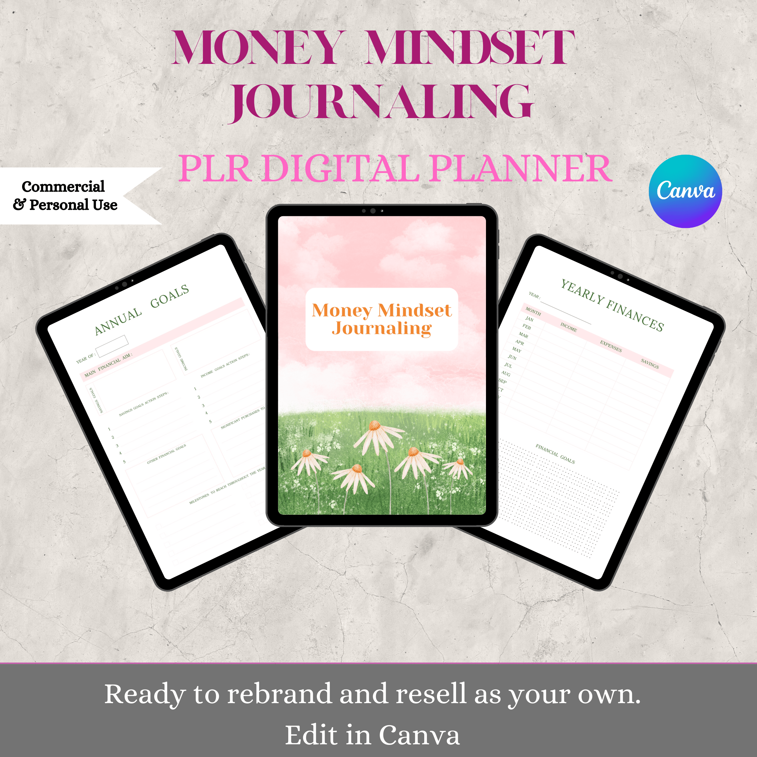 Money Mindset Journaling Done for you Planner with PLR - Payhip