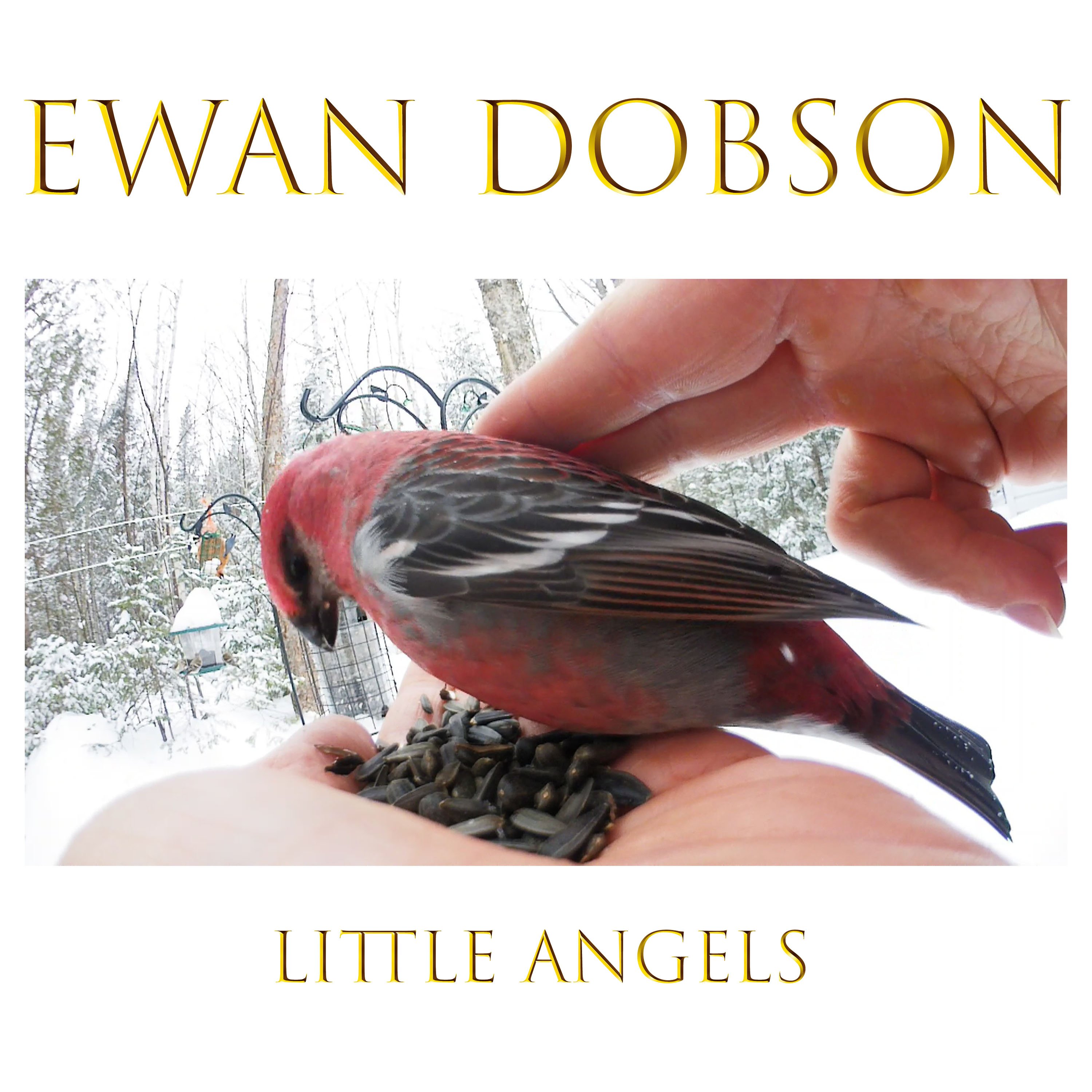 Forgiven (2019) - Payhip