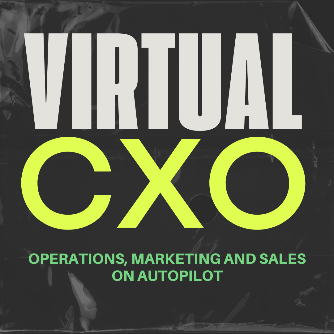 Virtual CXO: Operations, Marketing and Sales on Autopilot - Payhip