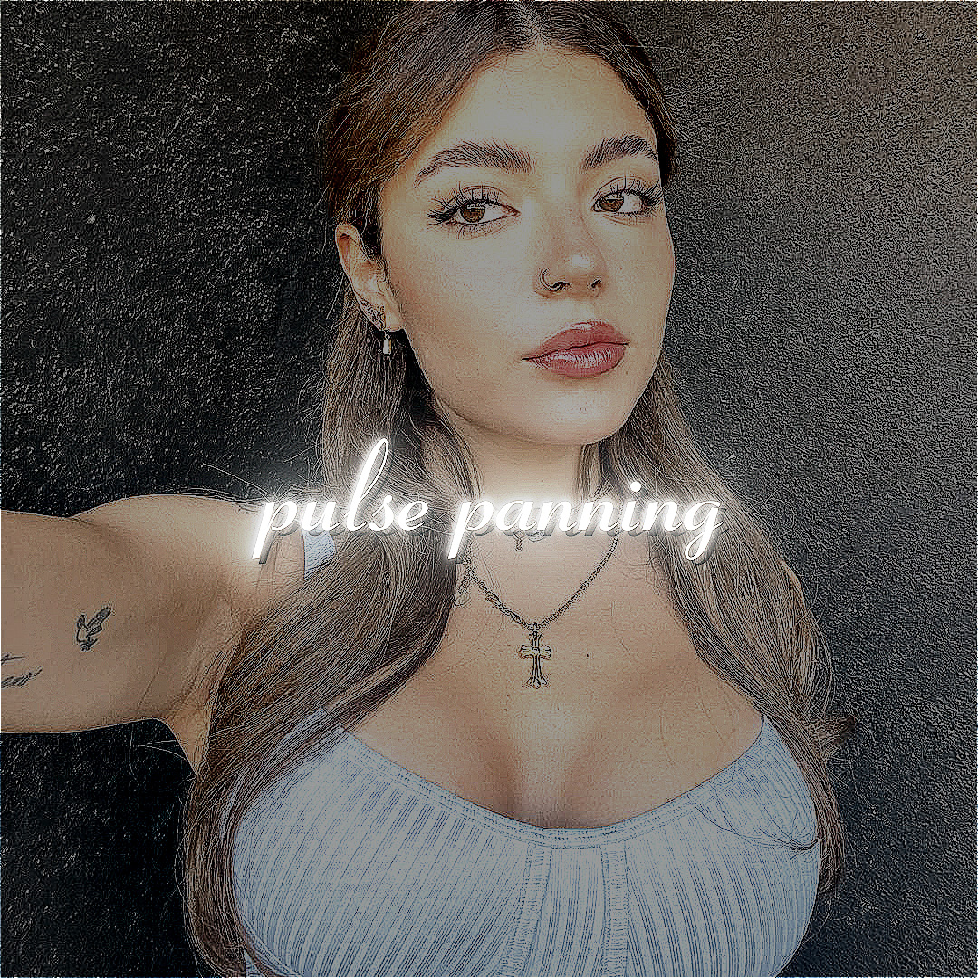 pulse panning - Payhip