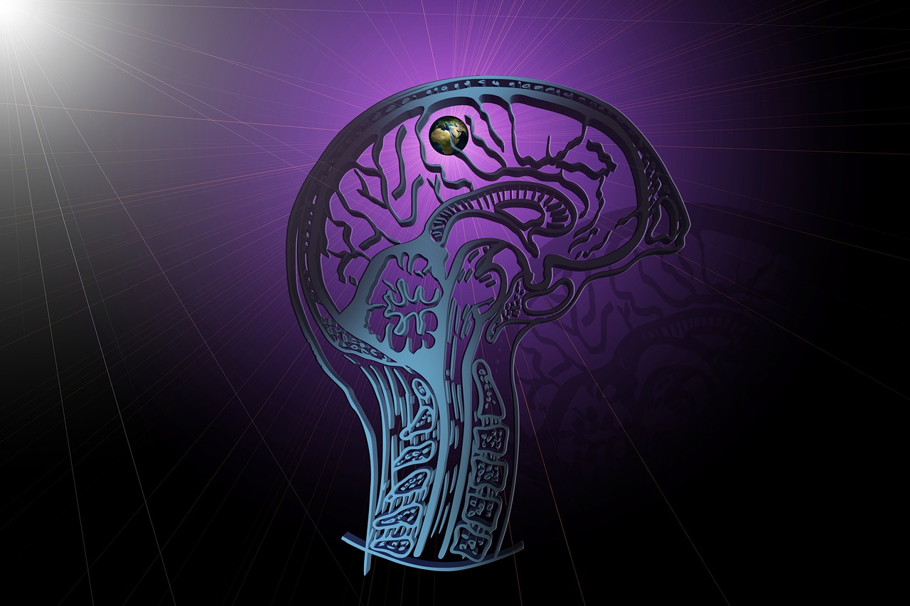 Assessing Fear of Rejection - Payhip