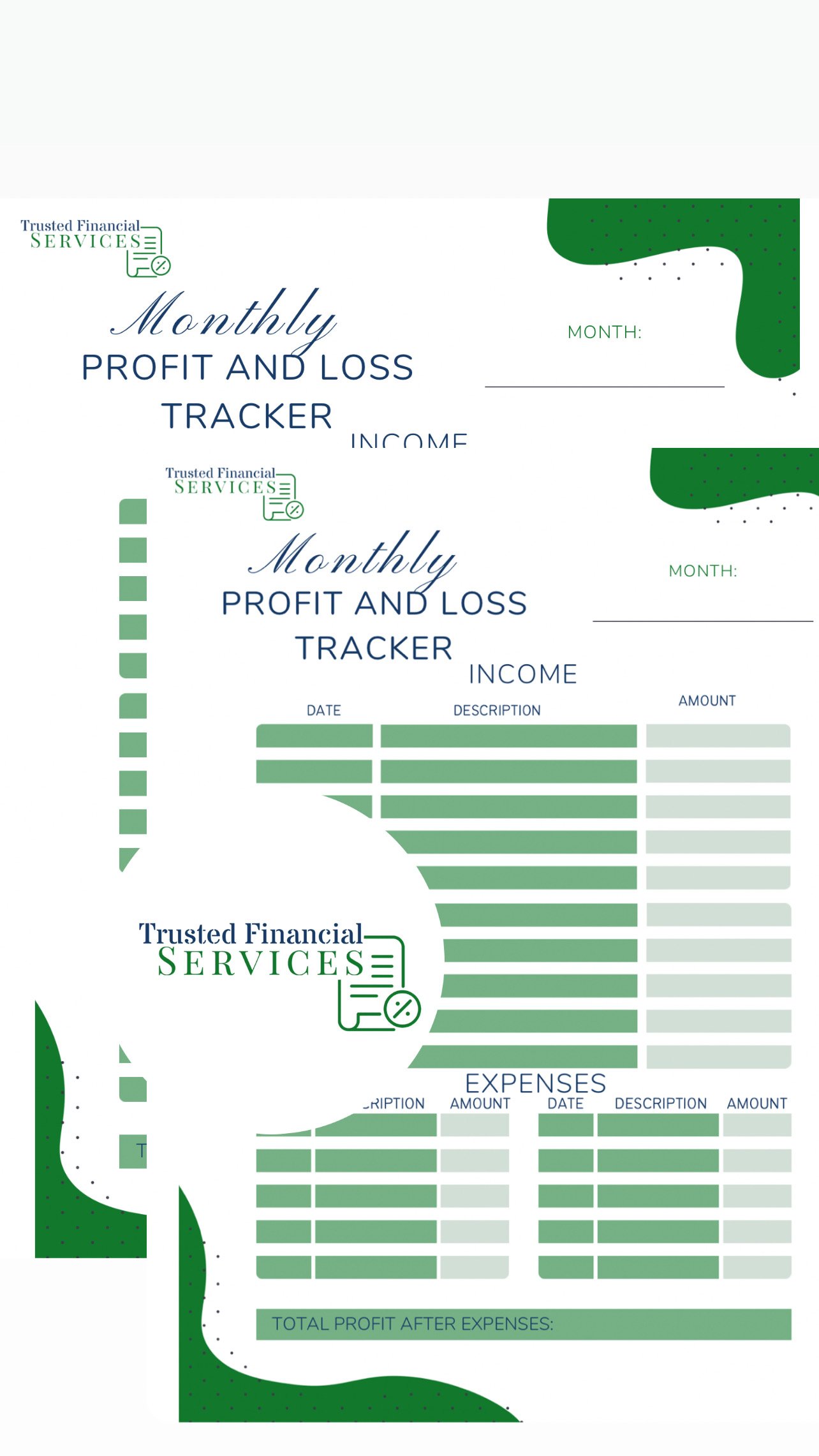 Simplified Profit and Loss Monthly Tracker - Payhip