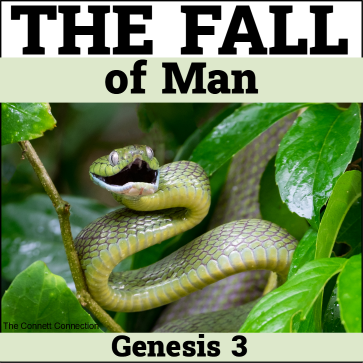The Themes of Genesis: Jacob Meets Esau Bible Study