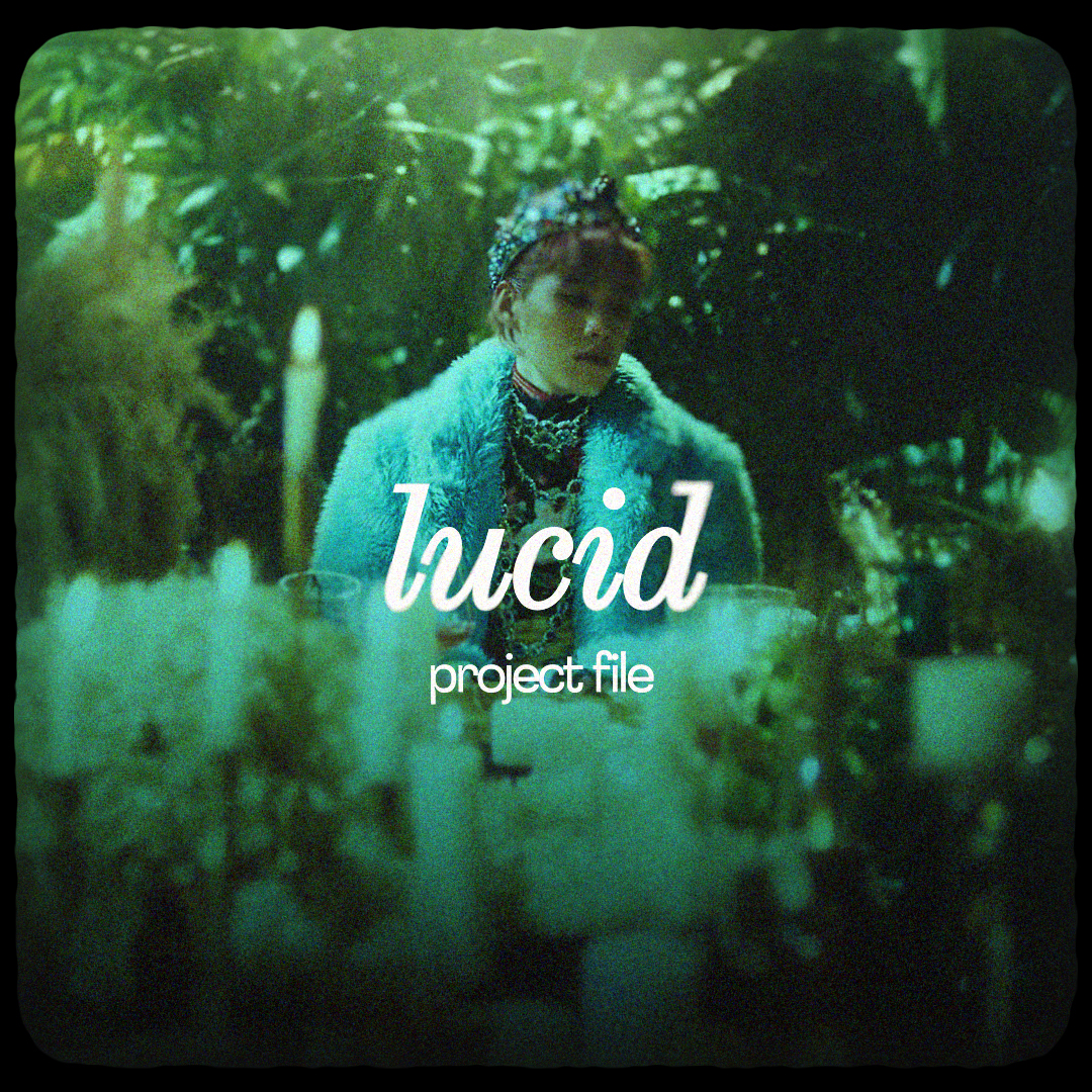 lucid project file - Payhip