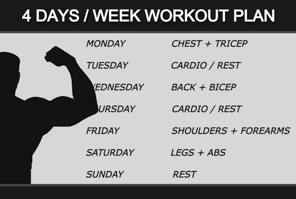 gymschedules - 4 DAYS / WEEK WORKOUT PLAN - Payhip