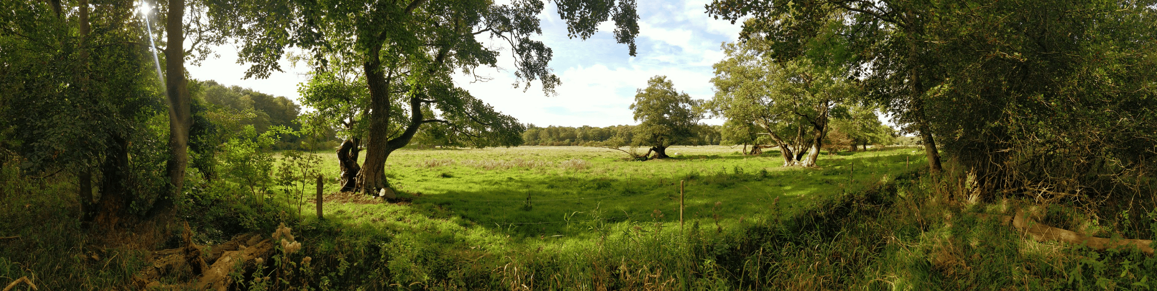Sorø Heath East - 20230927_144806 - Payhip