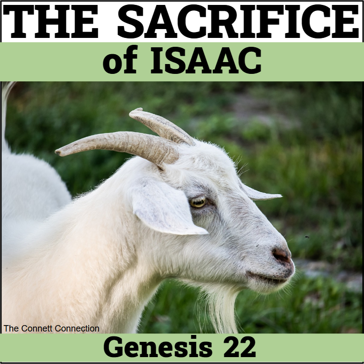 The Themes of Genesis: Jacob Meets Esau Bible Study