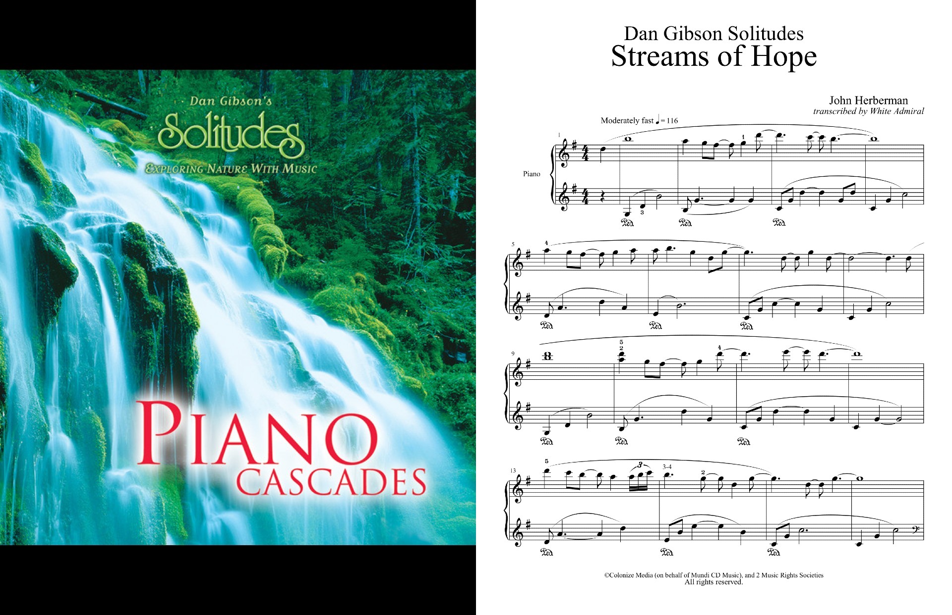 Dan Gibson's Solitudes - Streams of Hope
