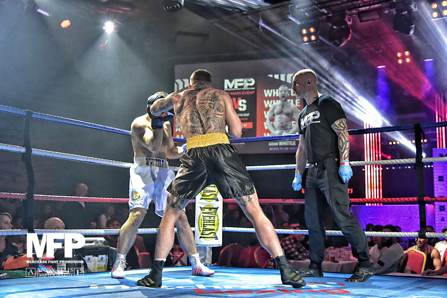 Fight 12- Shay Anderson v Aidan Whittle Fight Pics - Payhip