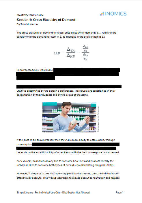 INOMICS - Individual Study Topics (for Students)