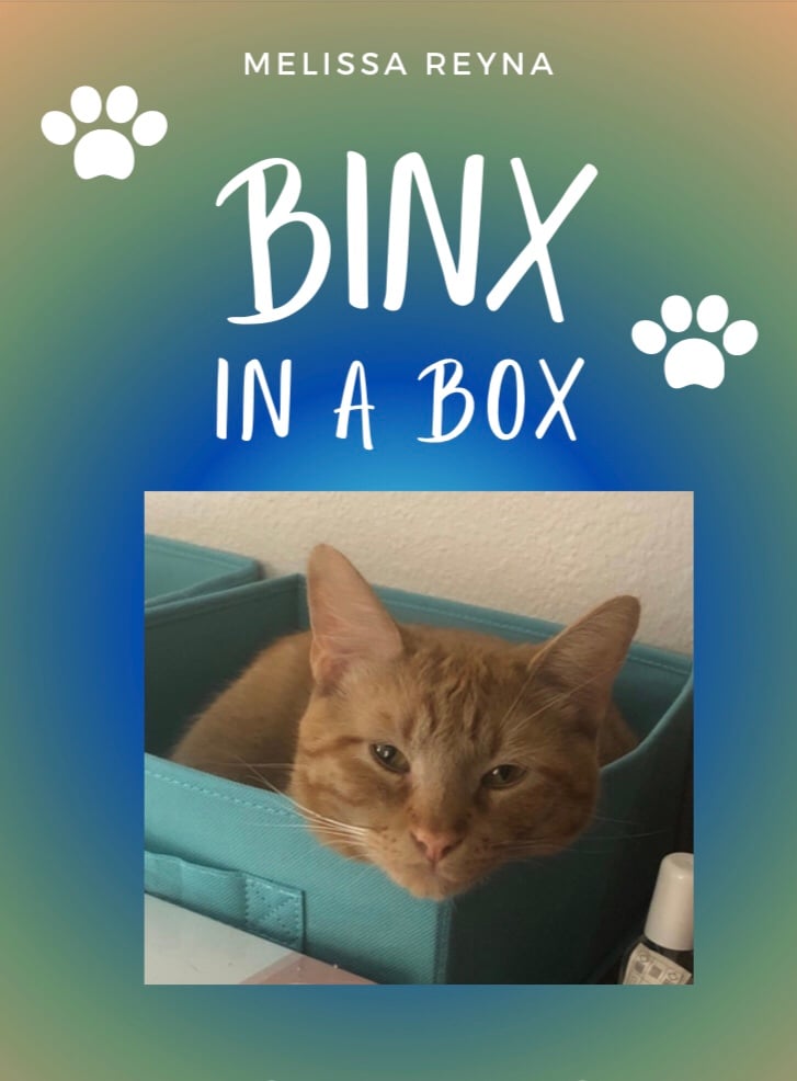 Binx in a Box - Payhip