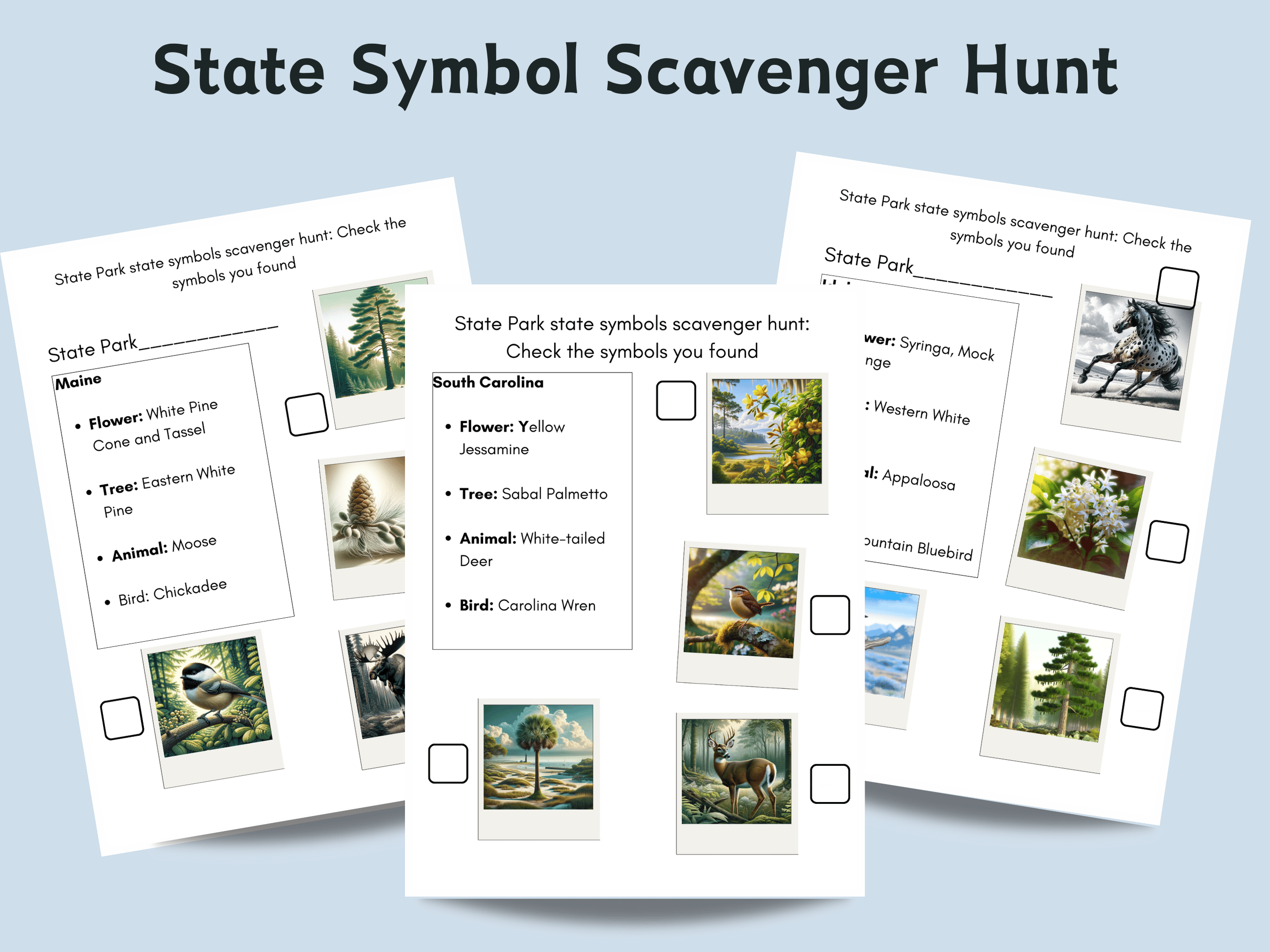 Kids State Park Activity Book PLR - Payhip