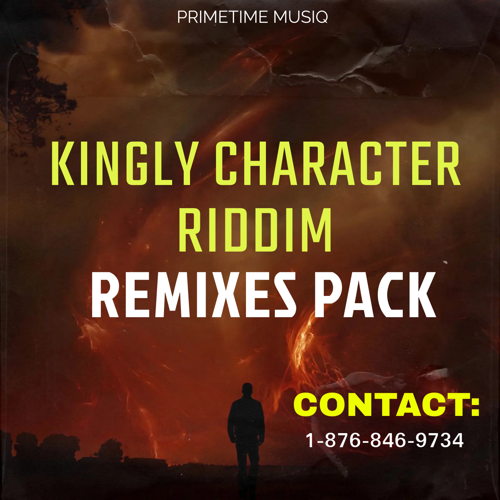 KINGLY CHARACTER RIDDIM REMIXES PACK - Payhip