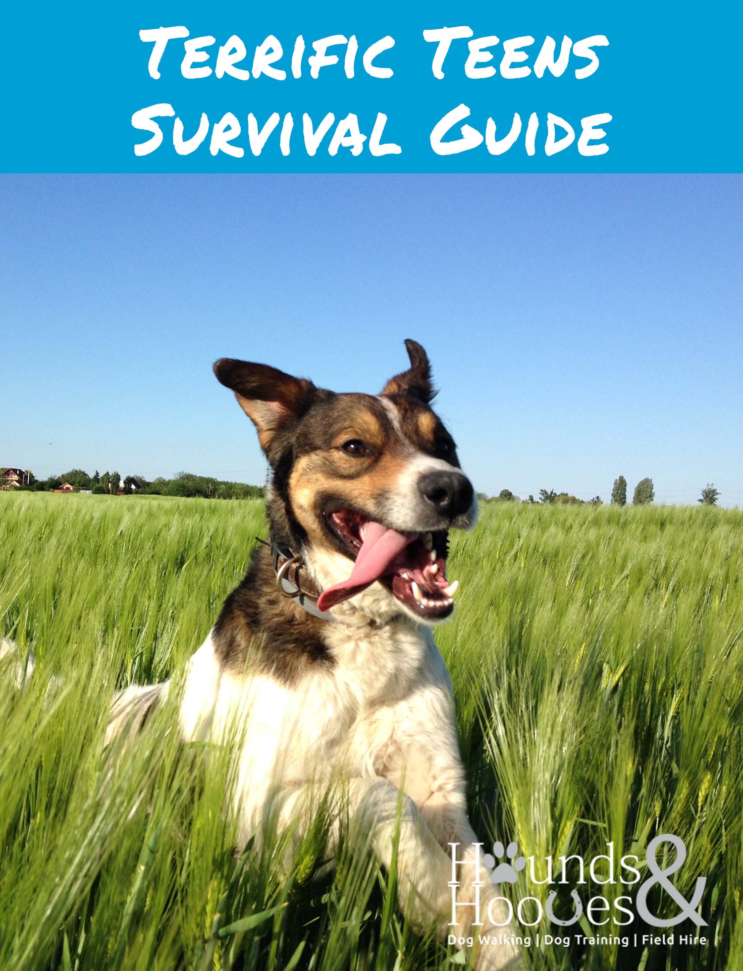 Terrific Teens Survival Guide