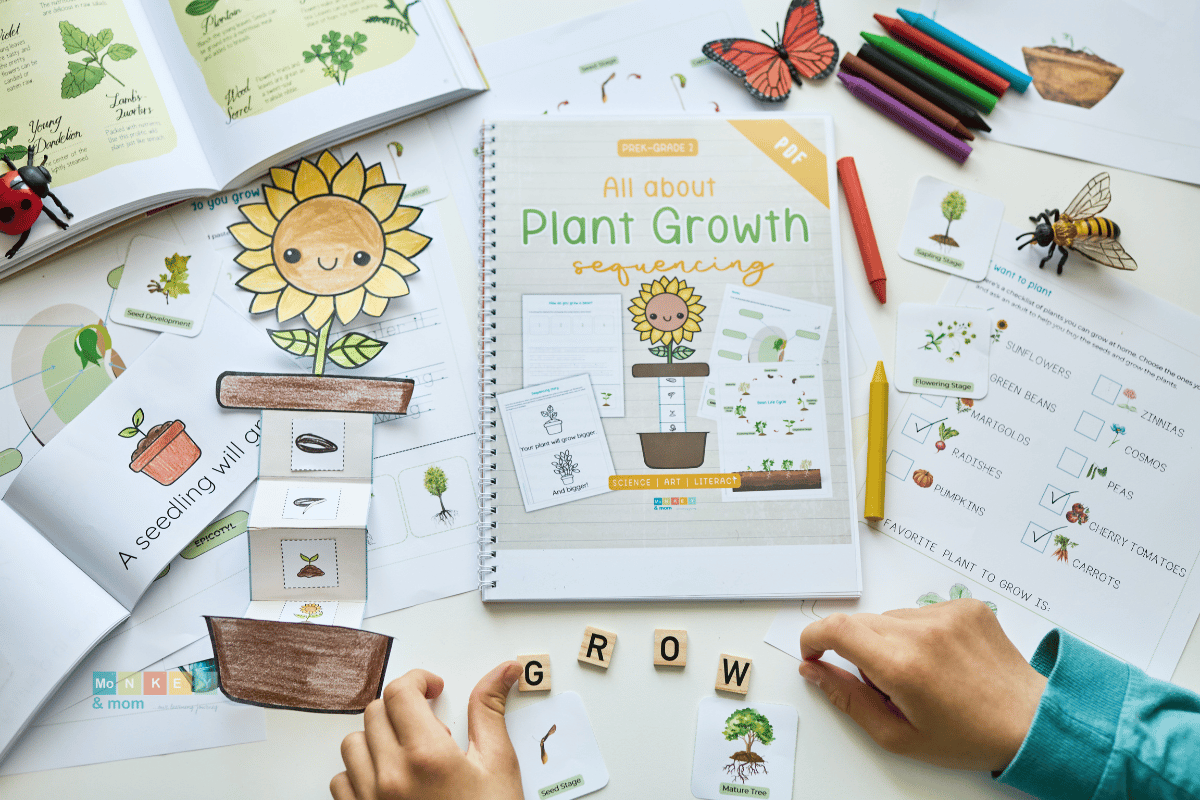 Plant Sequence Worksheet, Plant Life Cycle and Seeds Bundle
