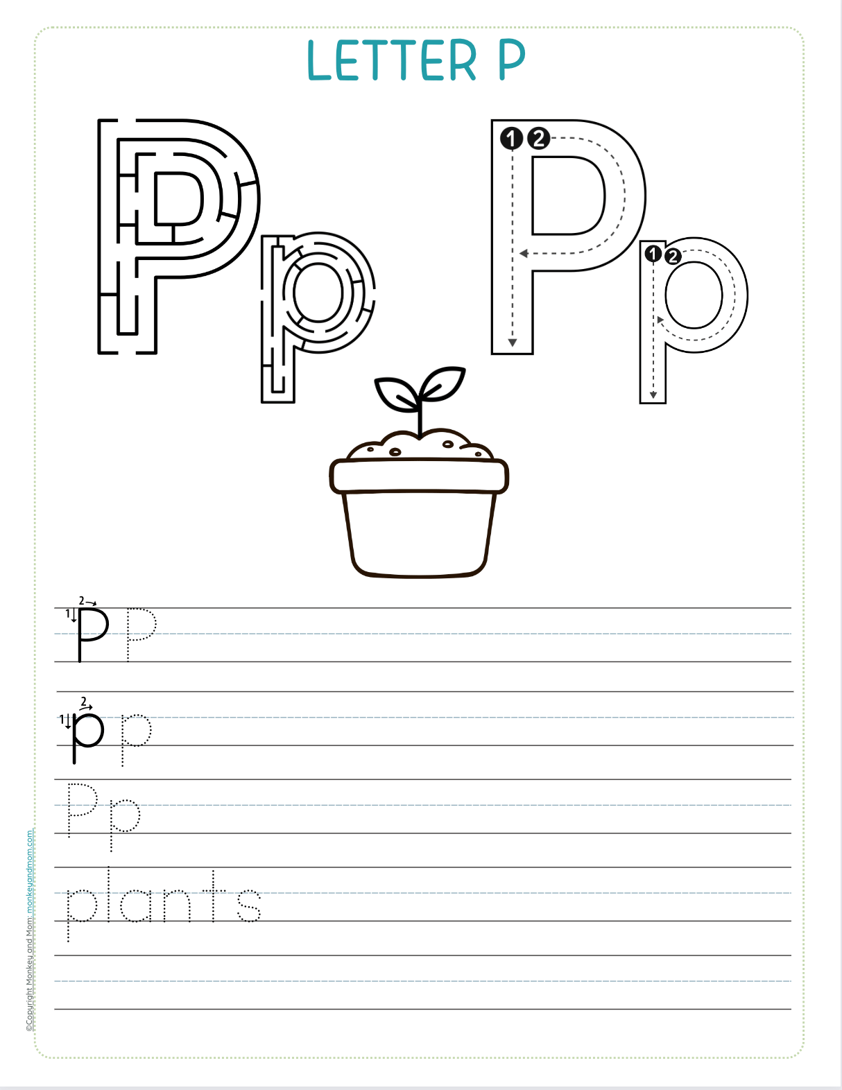 Plant Sequence Worksheet, Plant Life Cycle and Seeds Bundle