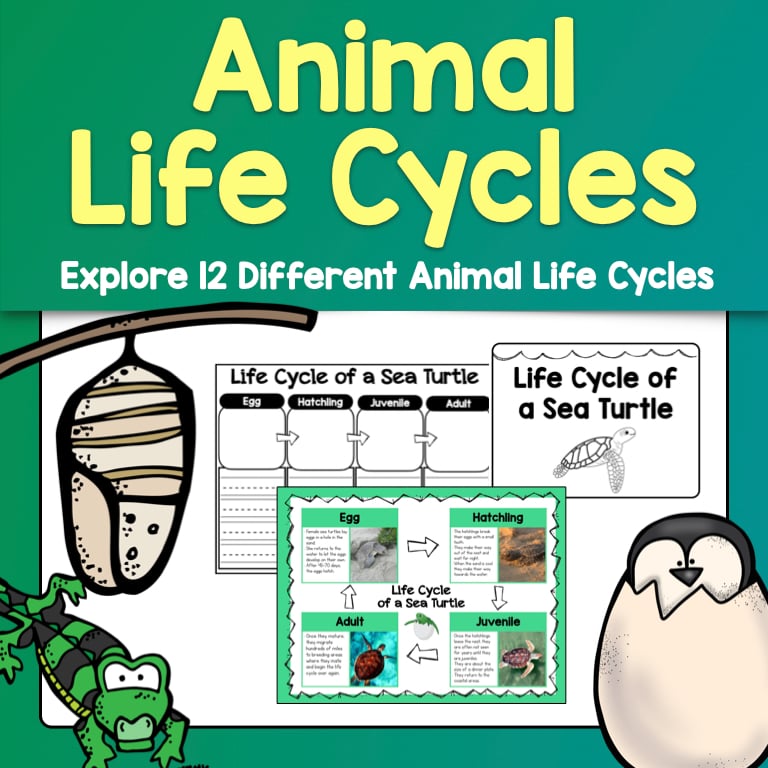 Animal Life Cycle Science and Writing Unit: Explore 12 Animal Life Cycles