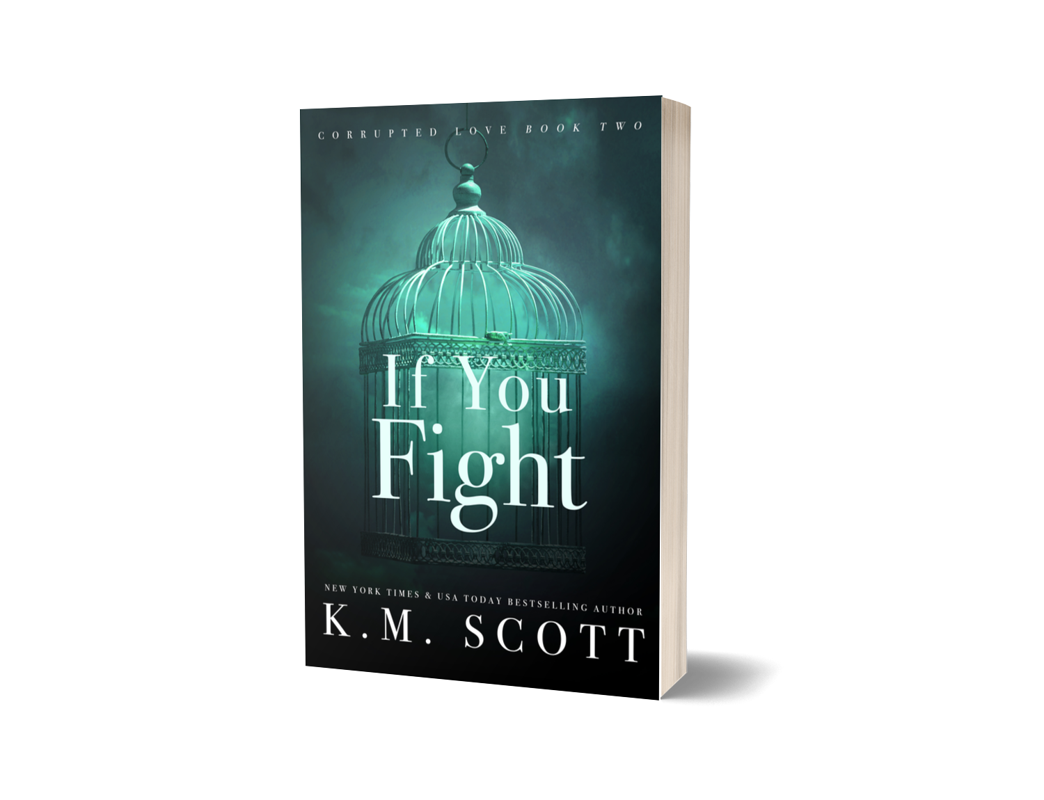 If You Fight Paperback (Corrupted Love #2) - Payhip
