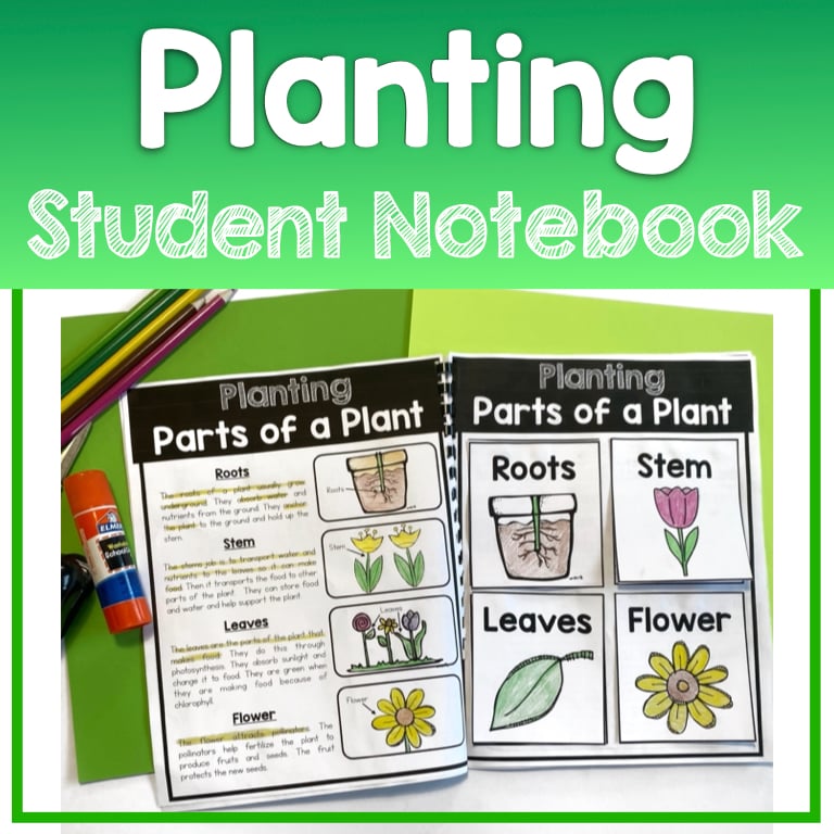 Planting Interactive Science Notebook