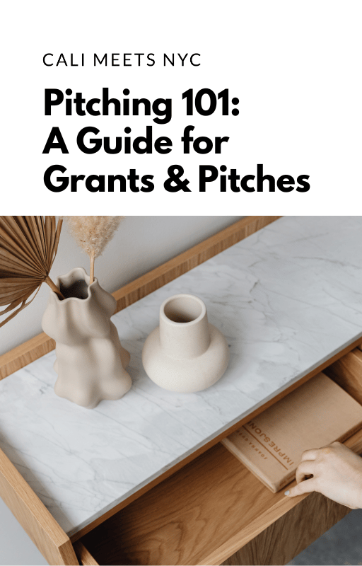 Pitching 101: A Guide for Grants & Pitches