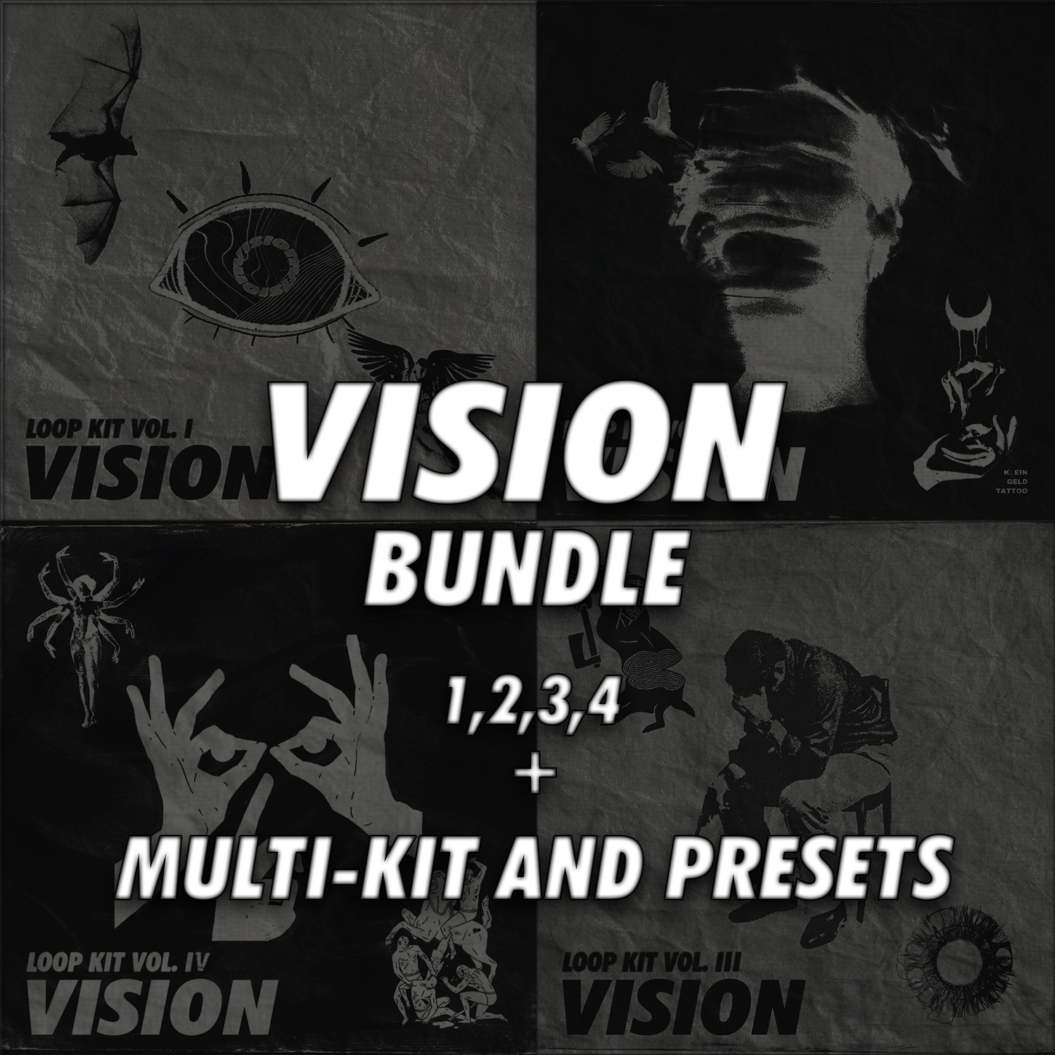 VISION Loop Kit Bundle Multi-Kit - Payhip