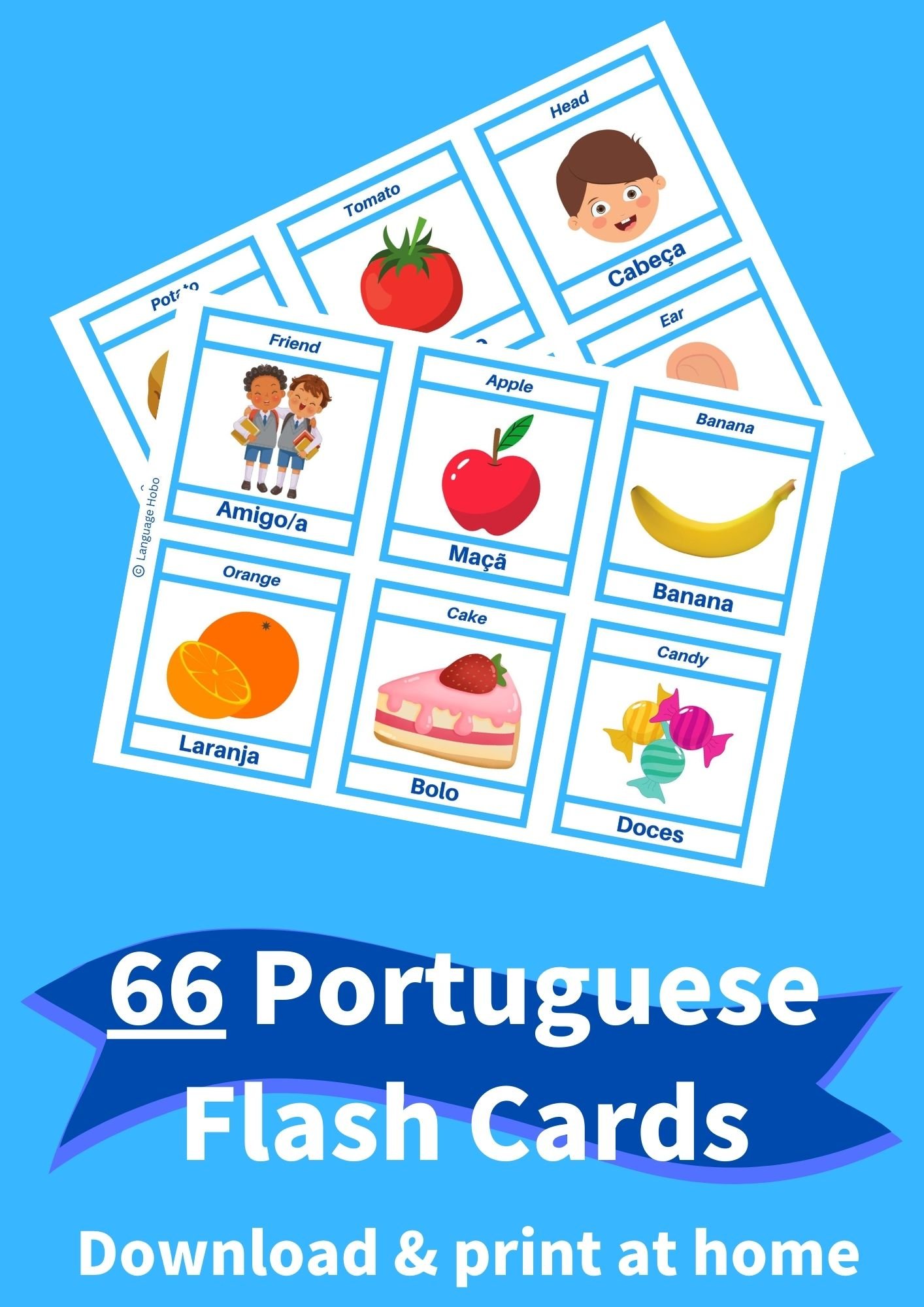 Printable PORTUGUESE Flashcards [PDF DOWNLOAD] - Payhip