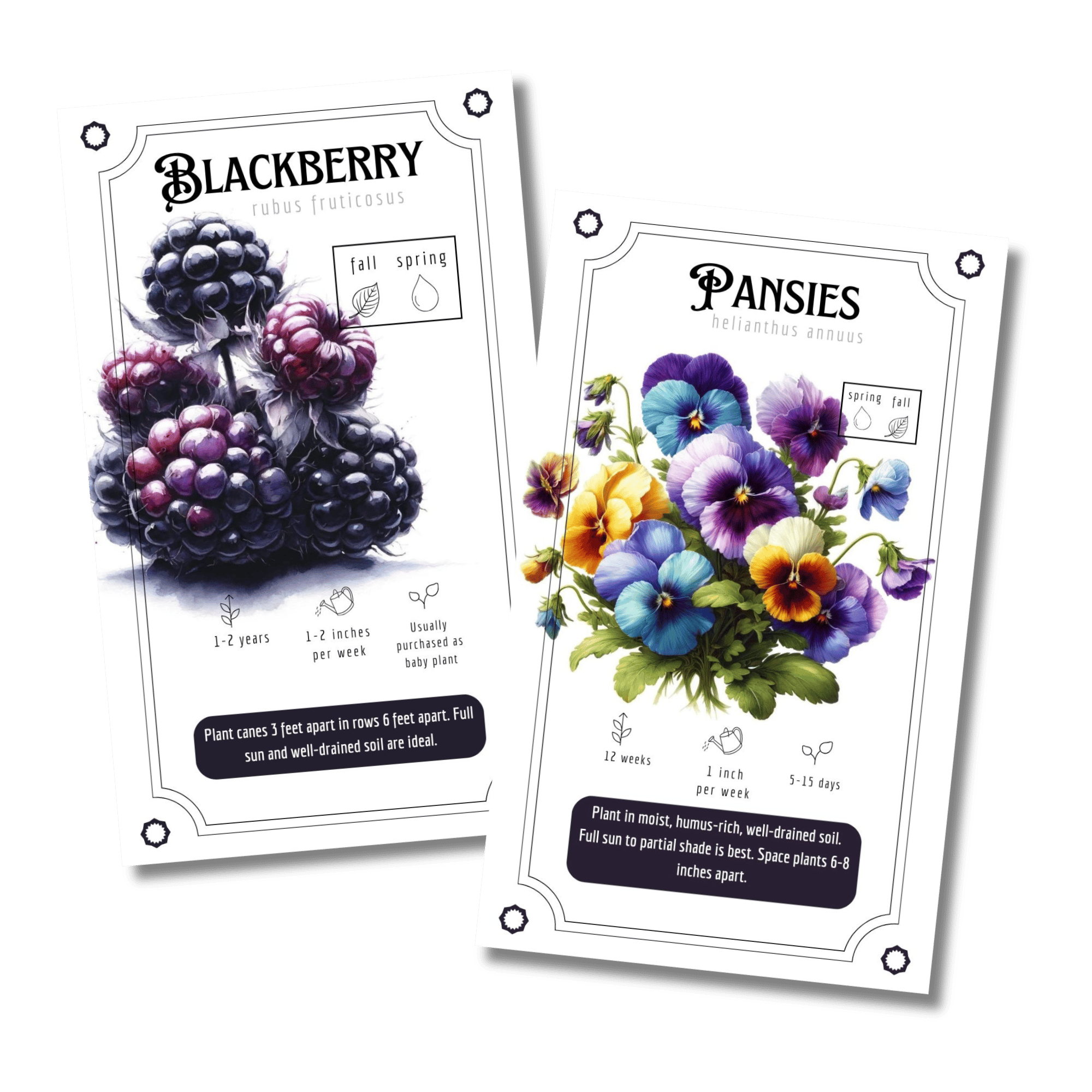 PLR Printable Gardening Cards - Payhip