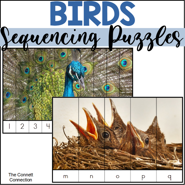 Bird Alphabet and Number Sequencing Puzzles