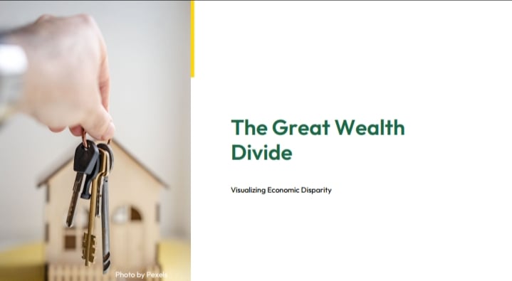 The Great Wealth Divide - Payhip