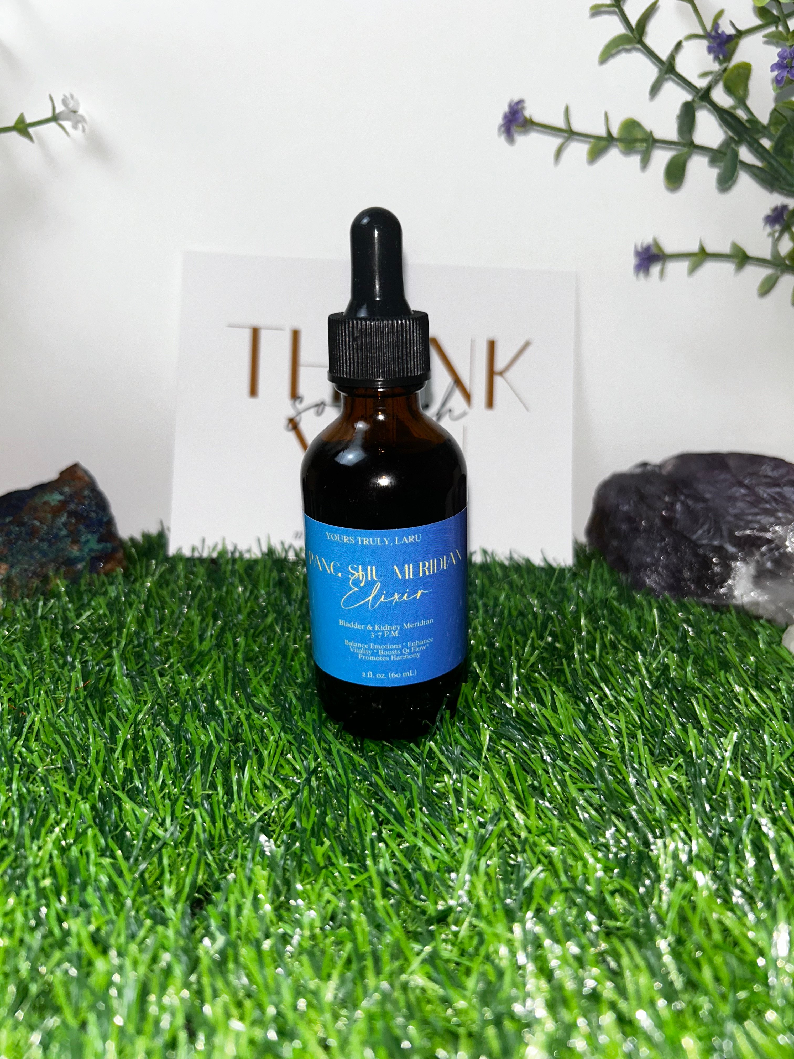 Pang Shu Meridian Elixir - Bladder & Kidney - Payhip