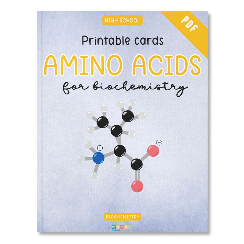 Amino Acid Cards for Biochemistry