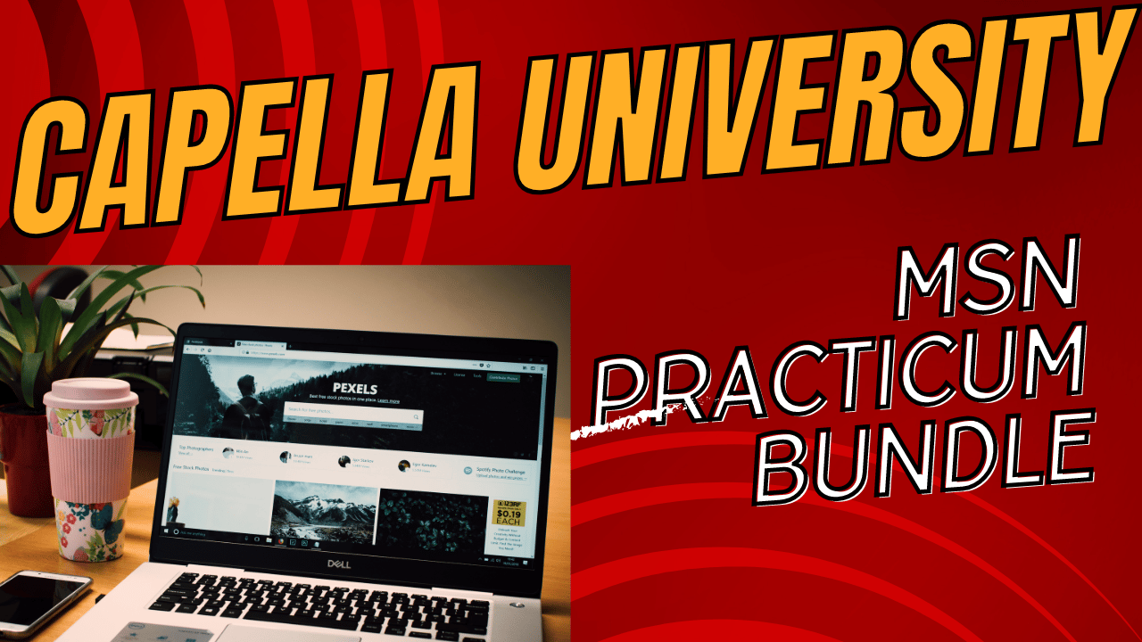 MSN Practicum Bundle - Payhip