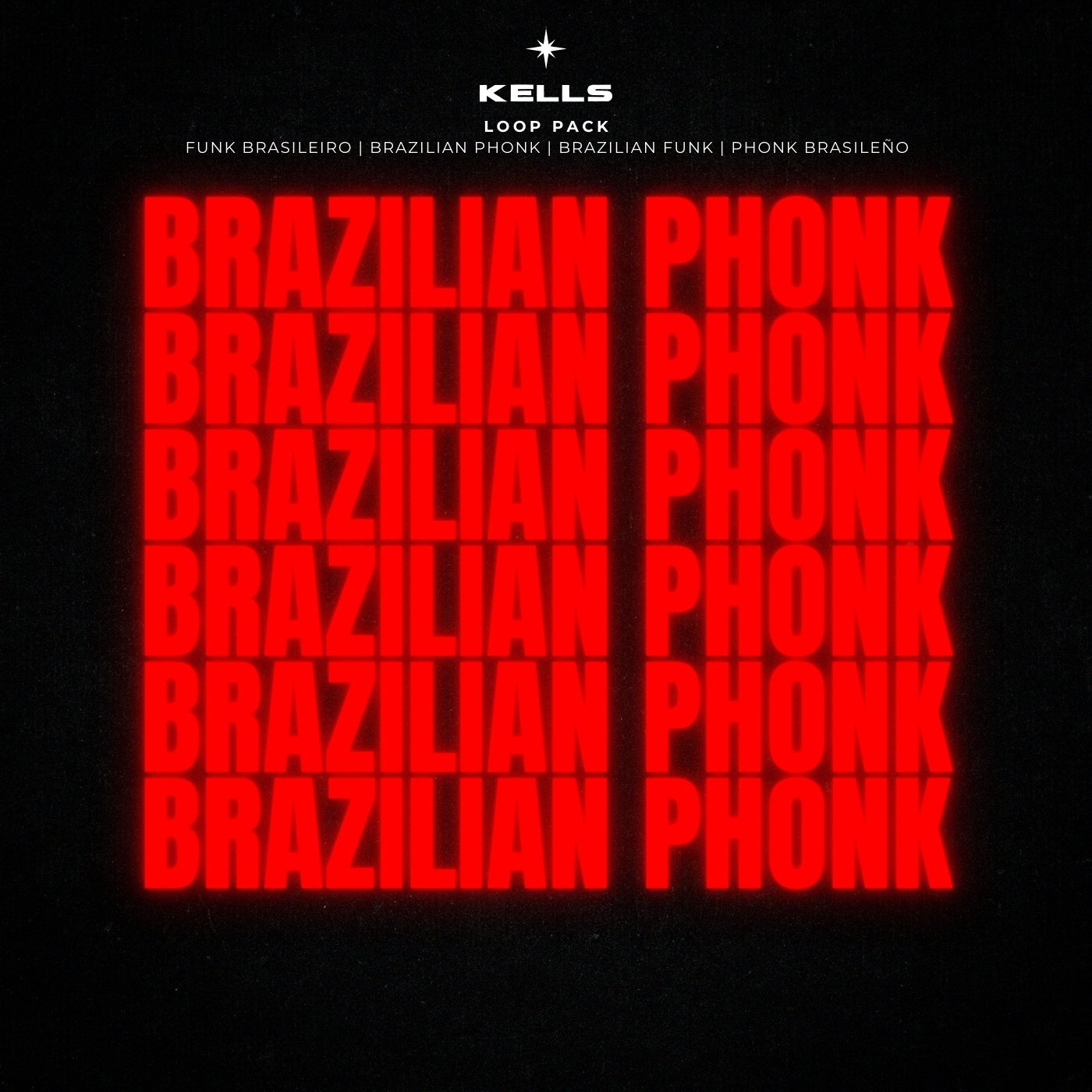 LOOPS BRAZILIAN FUNK VOL. 01 - Payhip