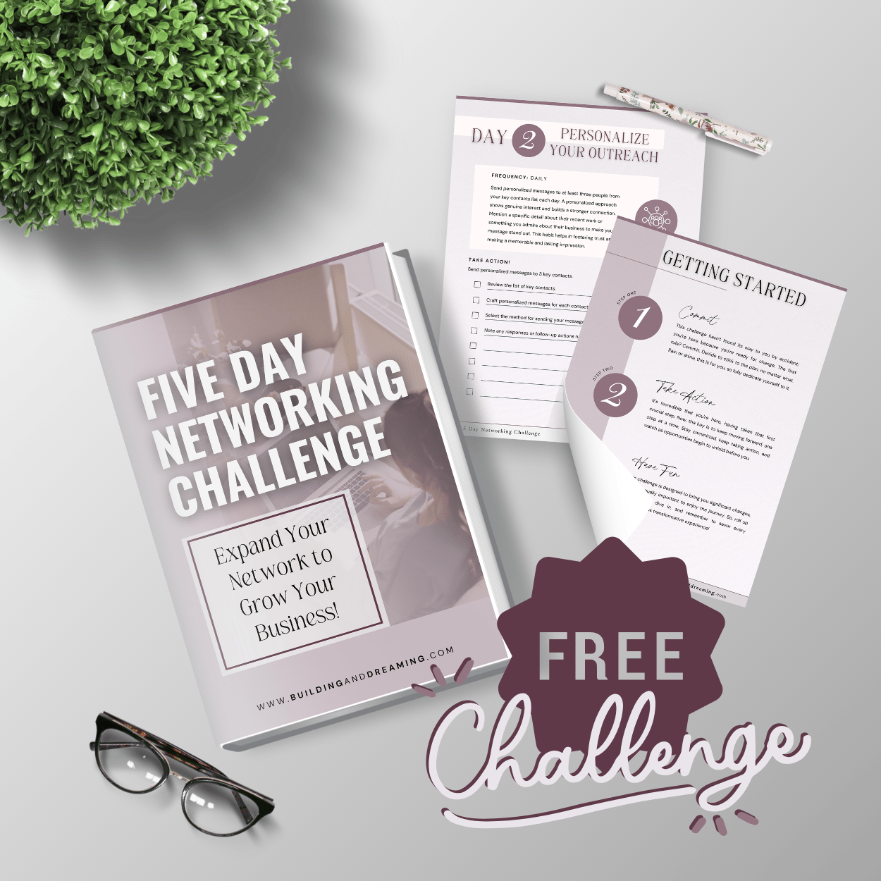 FREE 5 Day Networking Challenge