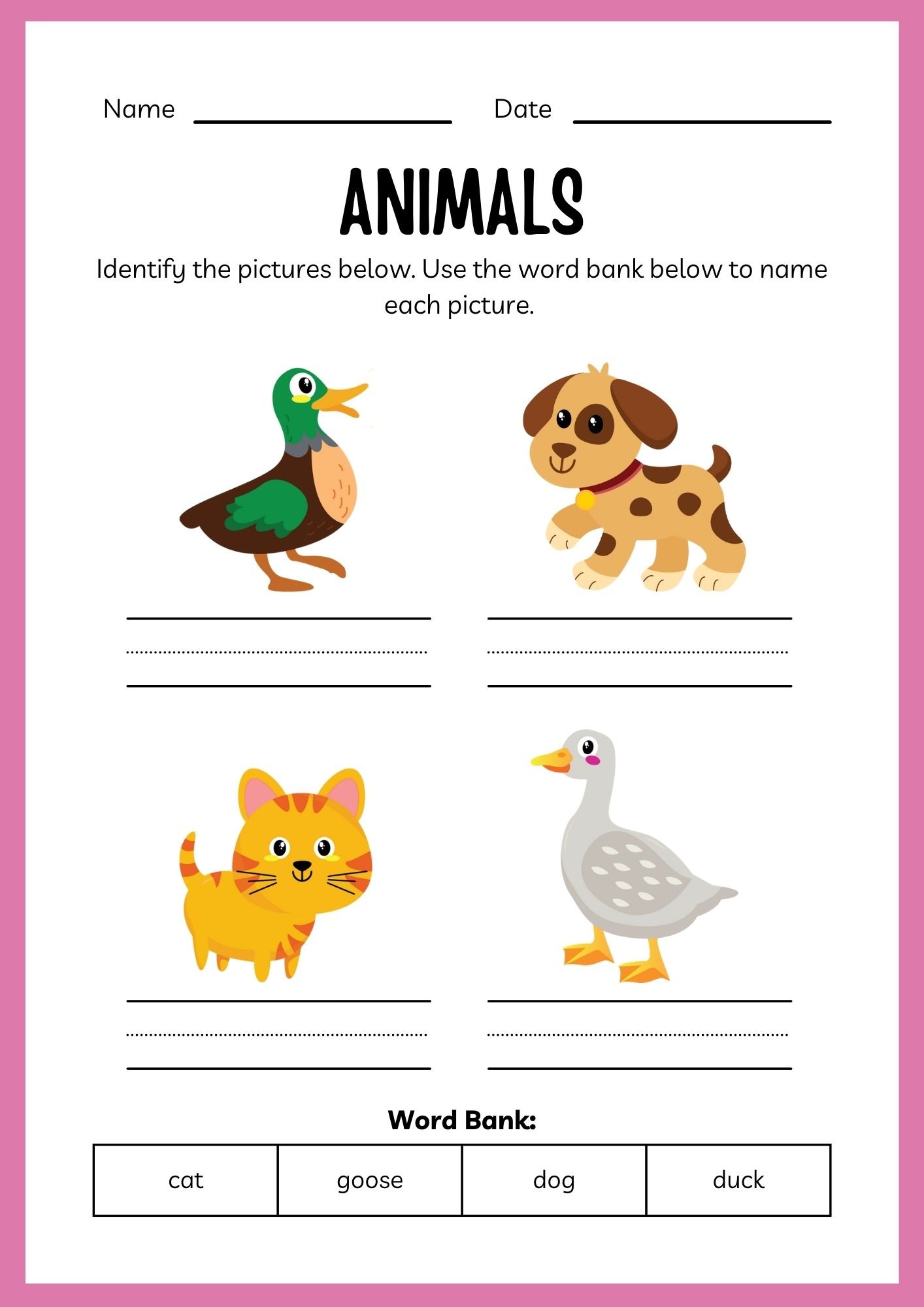 TeacherT Kids English TV - Animals ESL Workbook Level A1-2 - Payhip