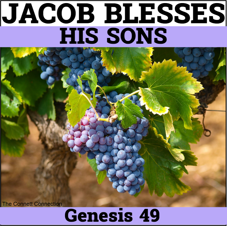 The Themes of Genesis: Jacob Meets Esau Bible Study