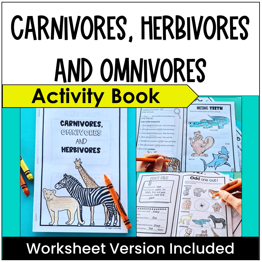 Carnivores Herbivores And Omnivores