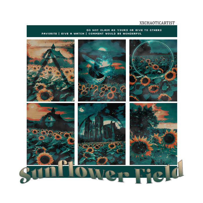 Sunflower Field - Payhip